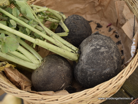 Kruidengeheimen-Rammenas